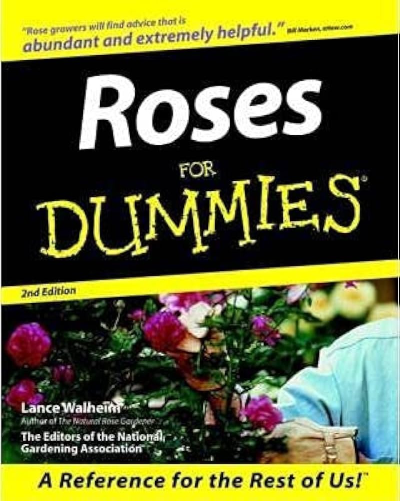 Roses For Dummies - Al Mtba3a